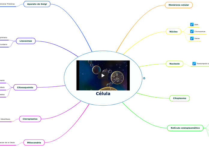 Célula - Mind Map